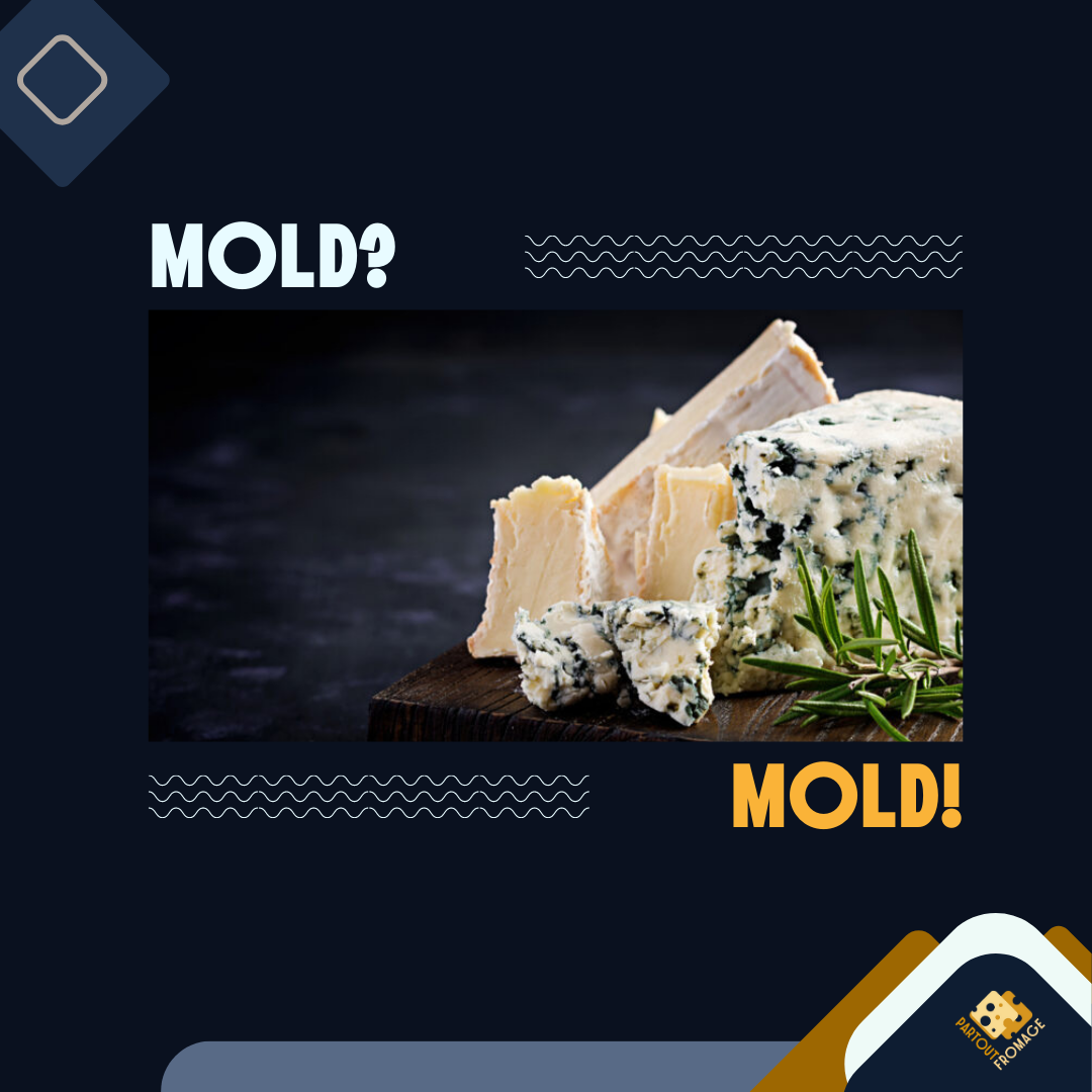 The World of Moldy Cheese: Delicious and Safe When Done Right - Partout ...